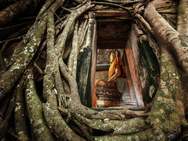 Damnoen Saduak Floating Market & Nakhon Pathom with Driver - Visiting Maeklong Railway Market