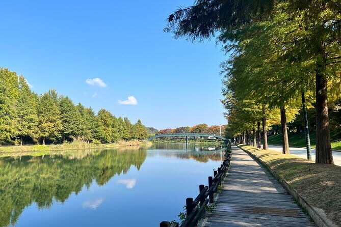 Damyang Bamboo Forest Tour (Private) - Why This Tour Might Be Perfect for You