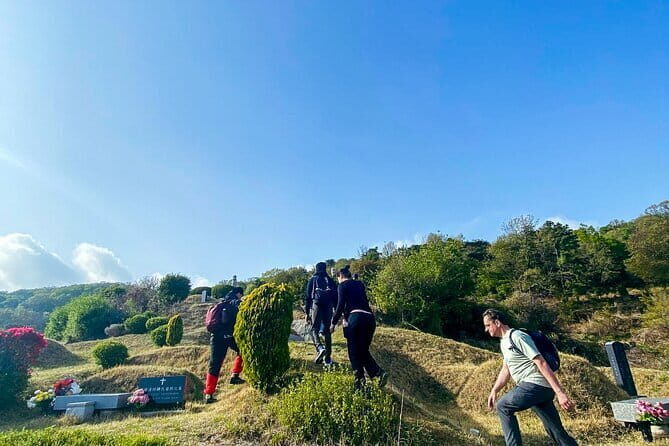 Damyang Bamboo Forest Tour (Private) - Authentic Feedback from Travelers