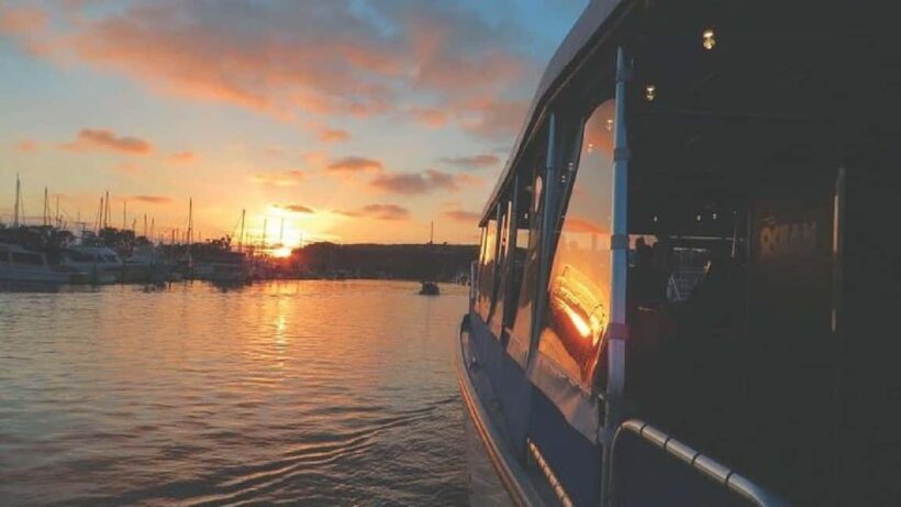 Dana Point: Evening Harbor Wine Cruise with snacks - Snacks and Extra Touches