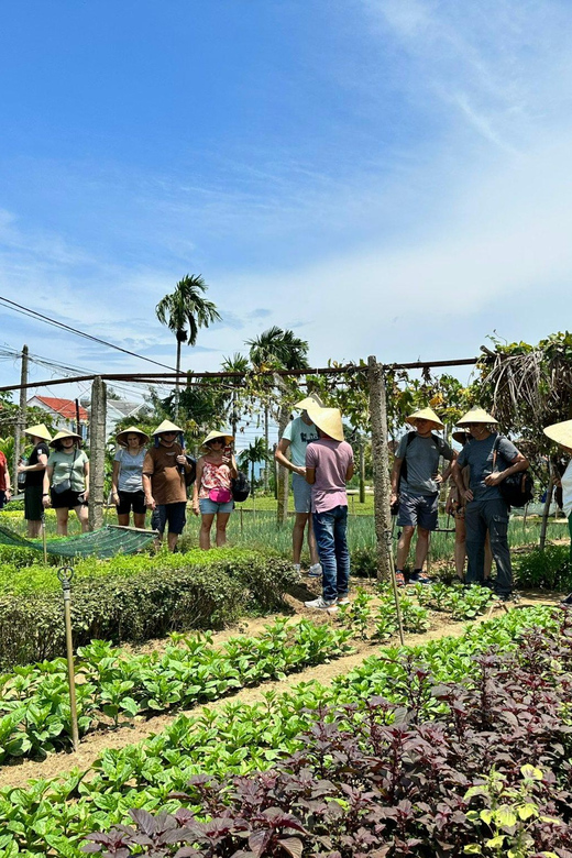 Danang/Hoi An: Vegetable Farming, Basket Boat, Cooking Class - Practicalities and Tips