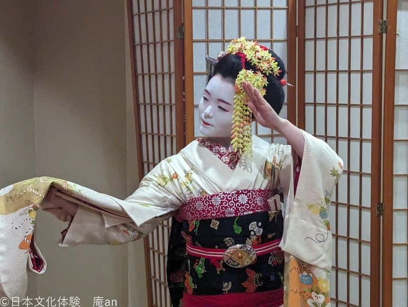 Dance and Game with Maiko - Key Points for a Smooth Experience