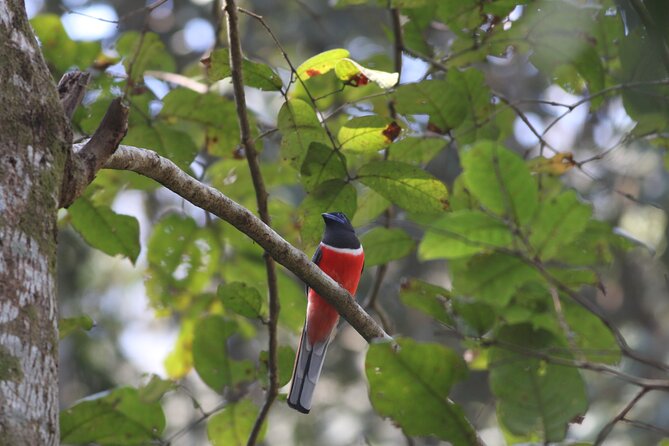 Dandeli Bird Photography Tour - Who Would Love This Tour?