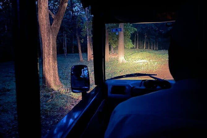 Dandeli One Night and Two Days Stay With Swimming Pool & Rafting - Who Is This Tour Best Suited For?