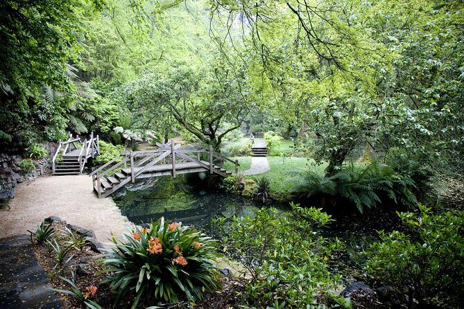 Dandenong Ranges Private Day Tour - Value for Money