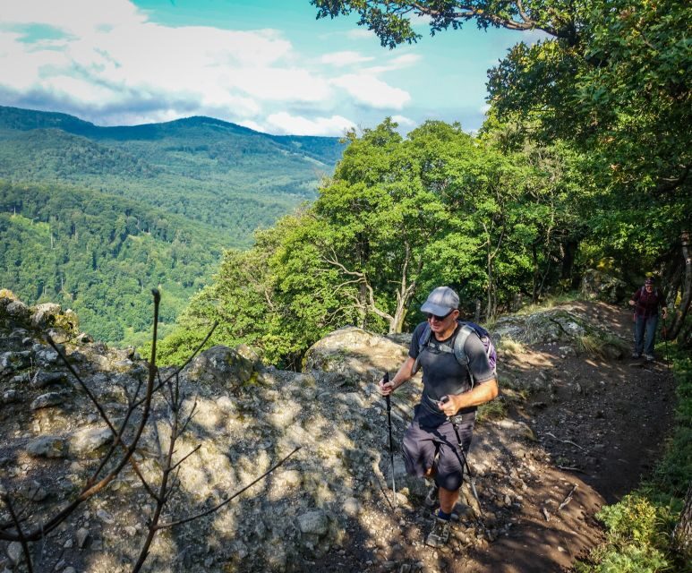 Danube Bend: Full-Day Hiking Tour from Budapest - Authentic Experiences and Real Feedback