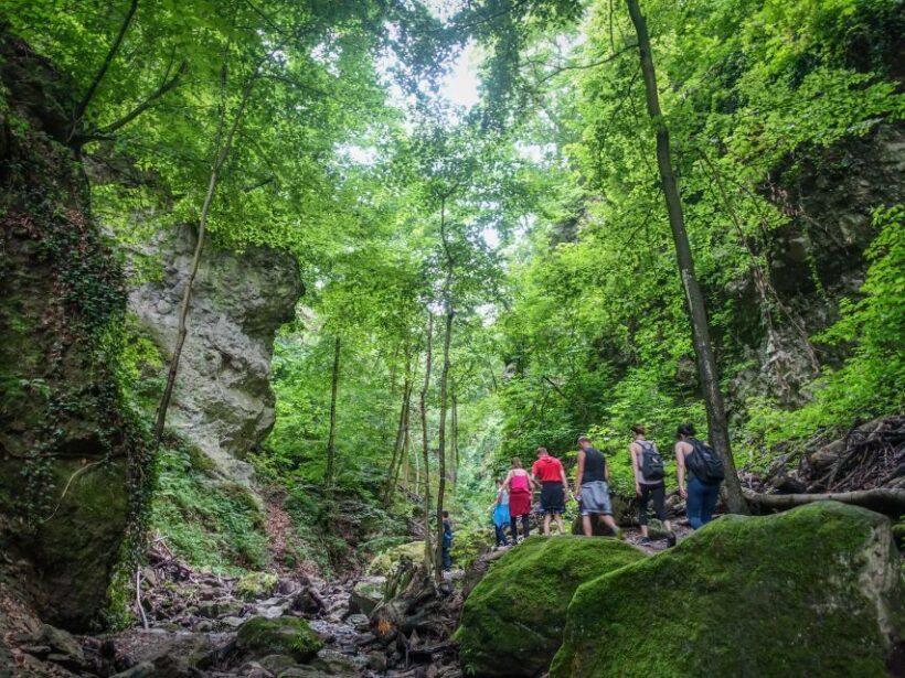 Danube Bend: Full-Day Hiking Tour from Budapest - Final Word