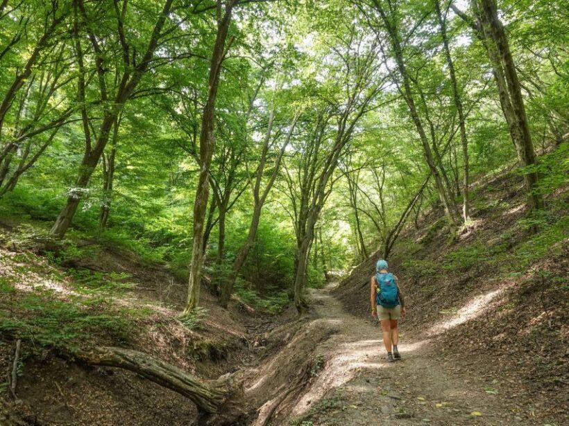 Danube Bend Hiking and Kayaking Adventure - Key Points