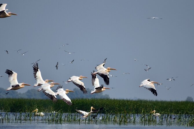 Danube Delta and Black See - 2 Days Private Tour from Bucharest - Who Should Consider This Tour?