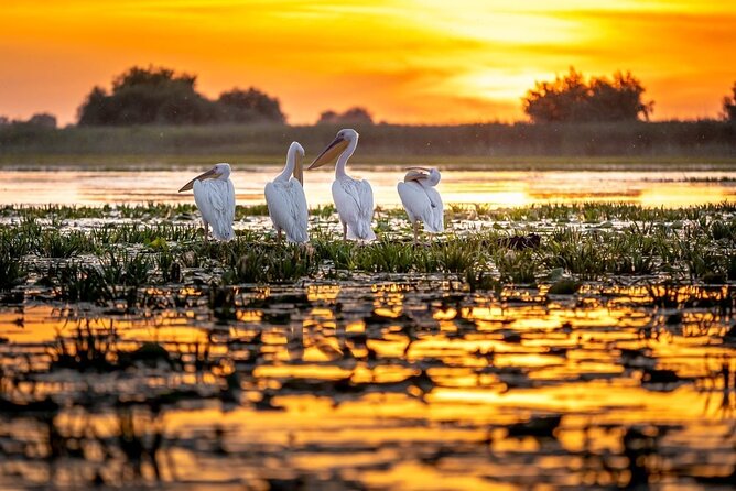 Danube Delta and Black See - 2 Days Private Tour from Bucharest - The Sum Up: Is This Tour Worth It?
