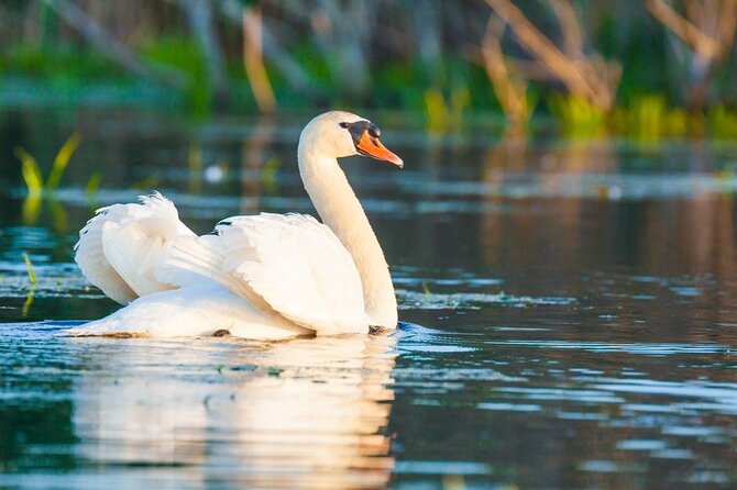 Danube Delta and Black See - 2 Days Private Tour from Bucharest - FAQ