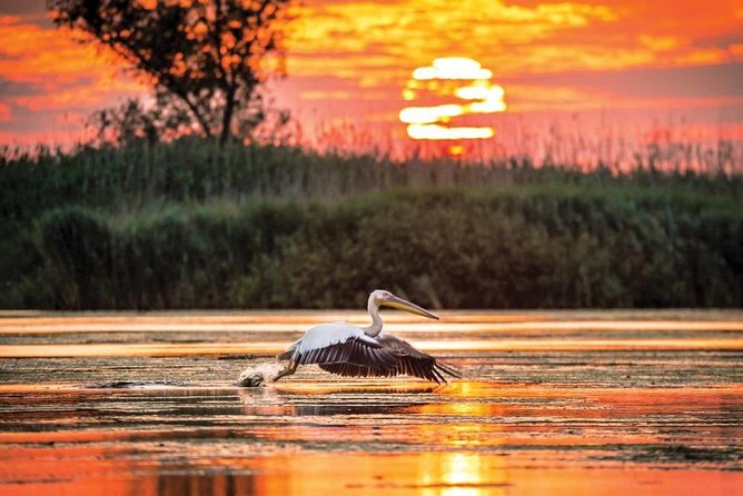 Danube Delta Private Tour from Bucharest - 2 Days tour - An In-Depth Look at the Danube Delta Tour