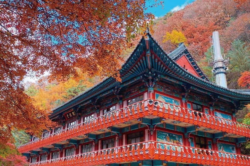 Danyang Tour: Guinsa Temple & Bobaljae & Mancheonha Skywalk - Key Points