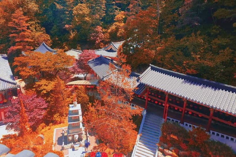 Danyang Tour: Guinsa Temple & Bobaljae & Mancheonha Skywalk - Authentic Experiences and Insightful Guides