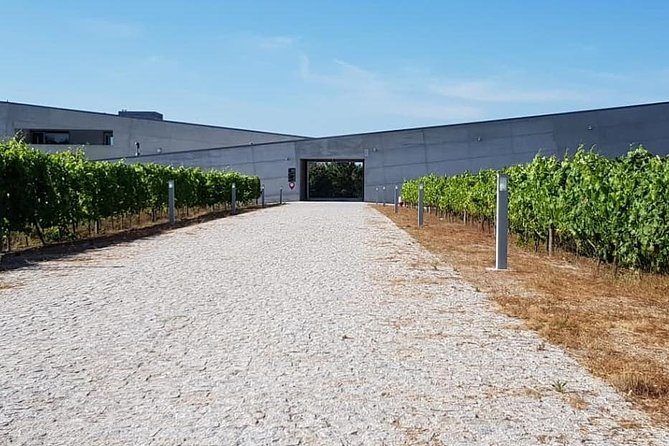 Dão Wine Region: Portuguese version on Bordeaux - Key Points
