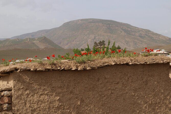 Darband-Boyson Uzbekistan Mountain Trekking 3-Day Private Tour From Samarkand - Practical Considerations