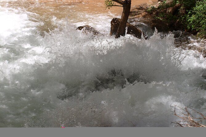 Darband-Boyson Uzbekistan Mountain Trekking 3-Day Private Tour From Samarkand - The Sum Up