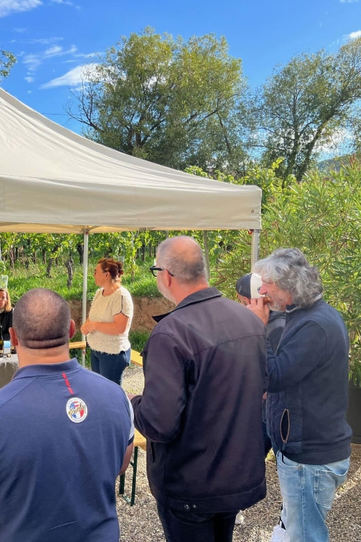 Dare to Alsace Wine with a Feminine Touch - The Value and Practical Details