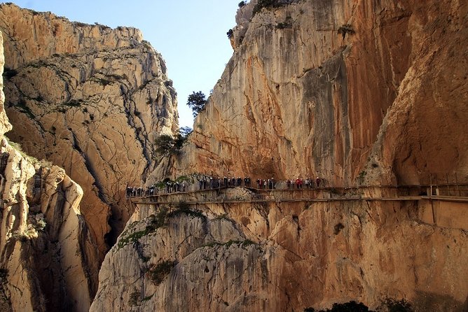 Dare to take a walk along the Caminito del Rey path private tour from Malaga - Who Should Consider This Tour?