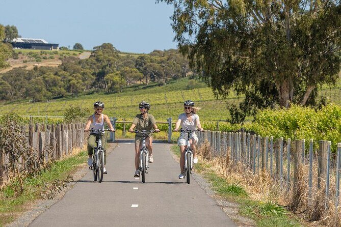 d'Arenberg: The Blending Bench and Degustation with Wine Pairing - The Sum Up
