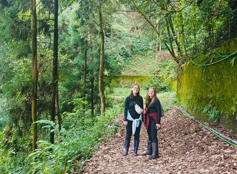 Darjeeling Cultural & Nature Walking Guided Tour - Final Thoughts