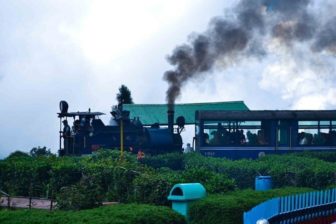 Darjeeling Full-Day Sightseeing Tour with Guide & Transports - The Itinerary in Detail