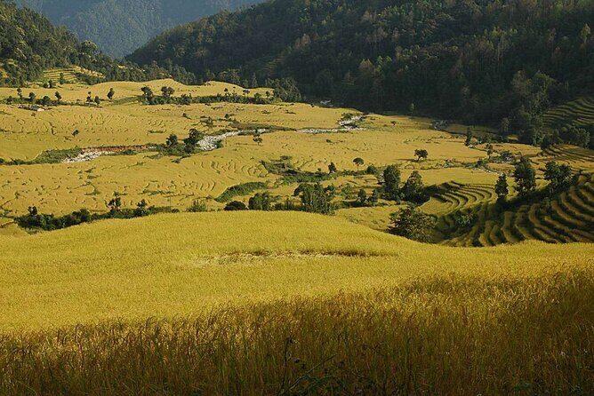 Darjeeling Sikkim Eco Village Tour - Who Would Love This Tour?
