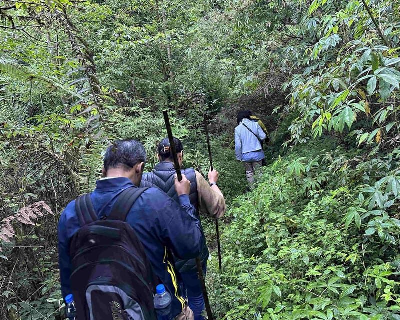 Darjeeling: Tiger Hill Sunrise Hike  Guided Day Trip - The Return Walk and Final Moments in Darjeeling