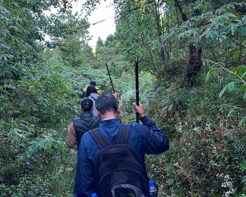 Darjeeling: Tiger Hill Sunrise Hike  Guided Day Trip - Practical Tips for the Tour
