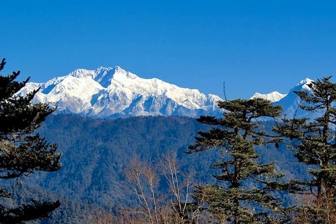 Darjeeling Tonglu Day Trek - What’s Included and Why It Matters