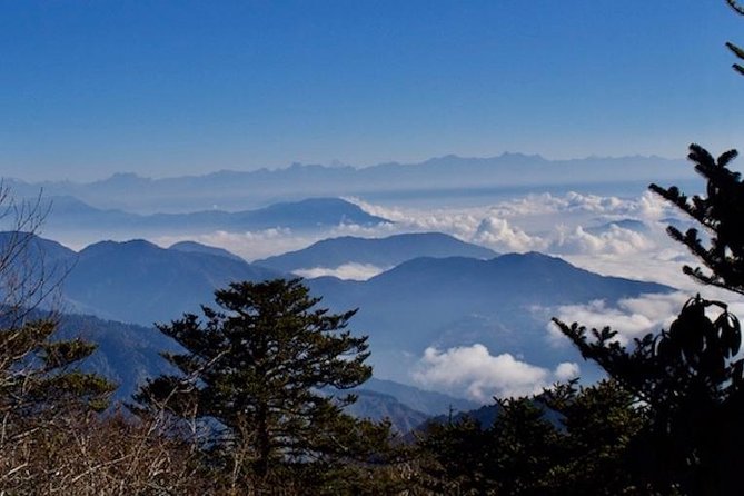 Darjeeling Tonglu Day Trek - What Travelers Are Saying: Authentic Experiences