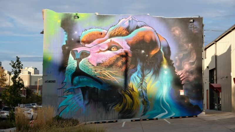 Dark Side of Denver RiNos True Crime and Murals Tour - FAQs