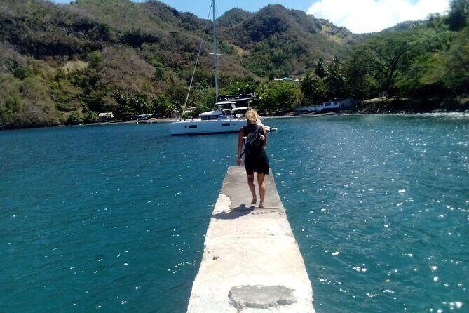 Dark View Falls & Botanical Gardens with Trubb Taxi Tours - Who Will Love This Tour?