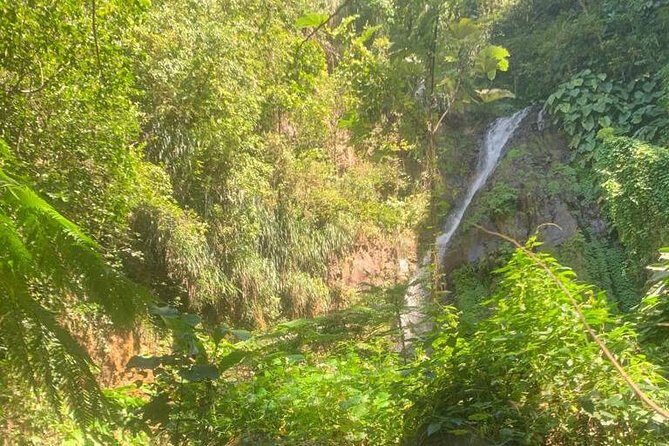 Dark View Falls Private Tour - The Sum Up