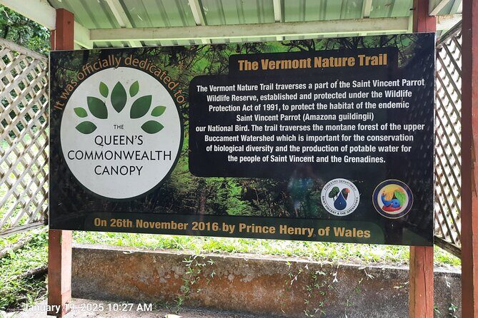 Dark View Falls - St. Vincent - The Sum Up