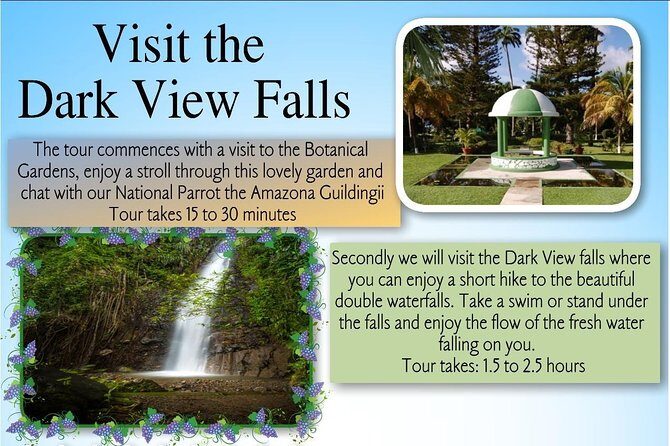 Dark View Falls Tour with Trubb Taxi Tours SVG - Optional Add-on: More Time or Private Tours