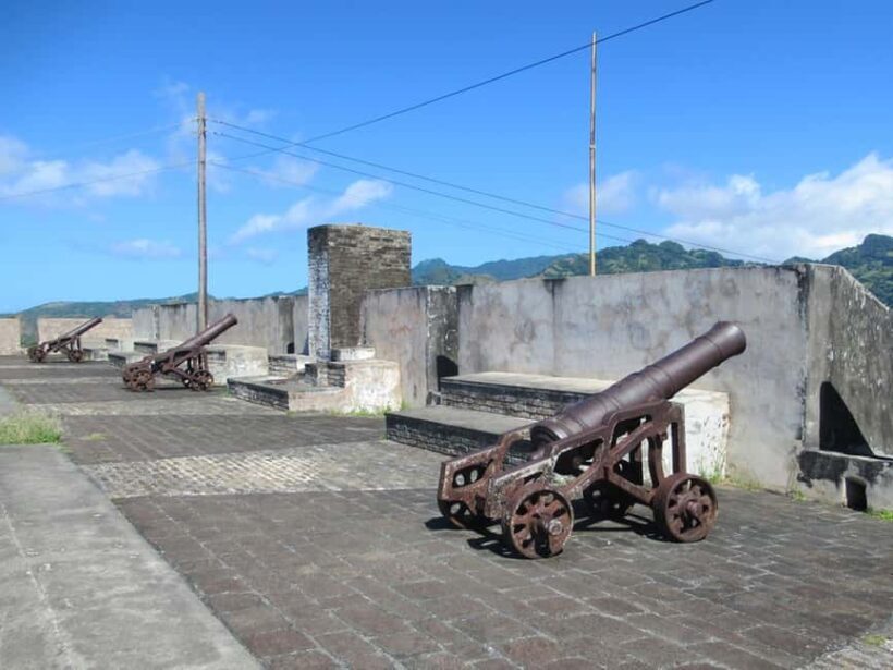 Dark View Falls Tour with Trubb Taxi Tours SVG - Who Will Love This Tour?