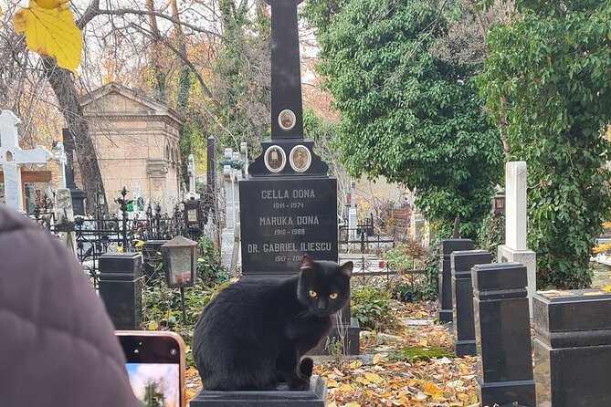 Darkside Tour of Bucharest - Small Group - Booking Information and Policies