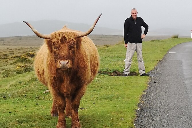 Dartmoor Tour - Pricing and Booking