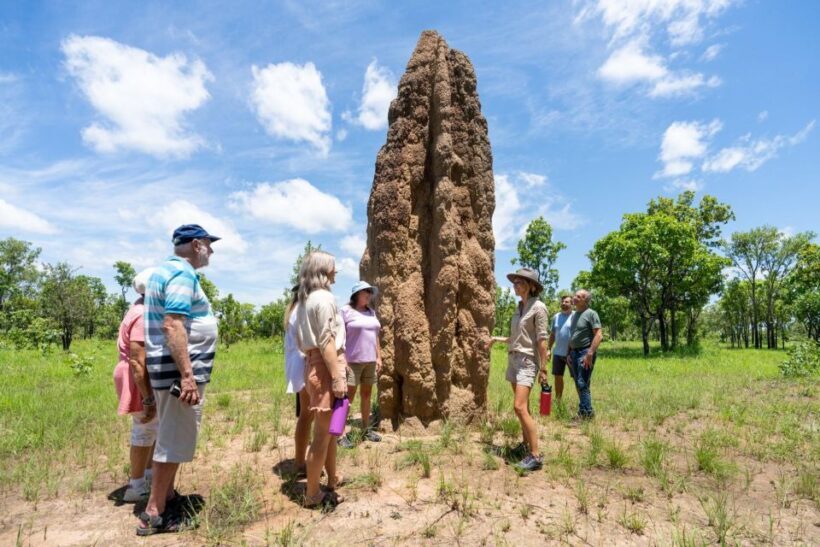 Darwin: 5-Day 4WD Kakadu Litchfield Tour & Billabong Cruise - Pricing and Value