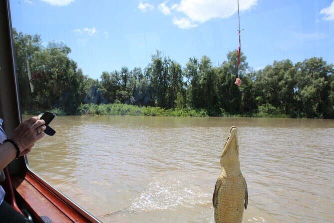 Darwin: Adelaide River Queen Original Jumping Crocodile Cruise - What to Expect from the Adelaide River Jumping Crocodile Cruise