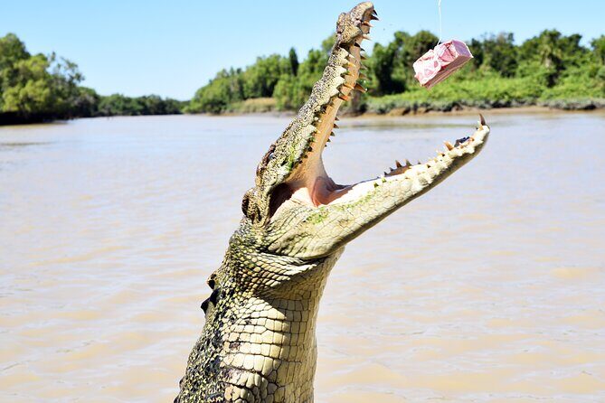 Darwin: Adelaide River Queen Original Jumping Crocodile Cruise - Who Will Love This Tour?