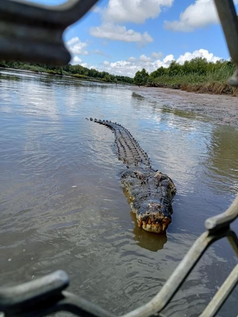 Darwin and Crocodile Tour - Final Thoughts