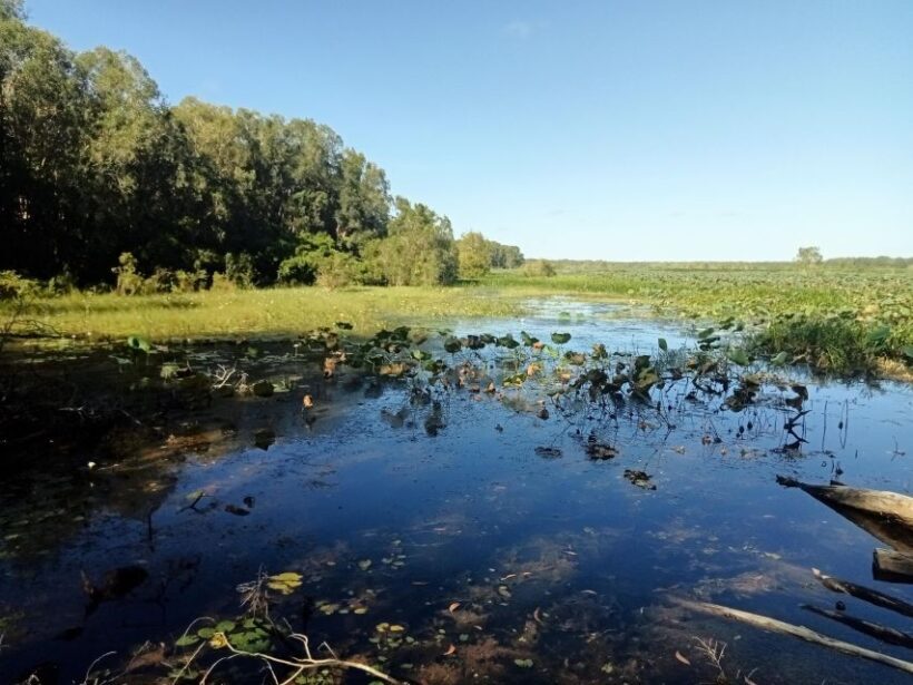 Darwin and Crocodile Tour - FAQ