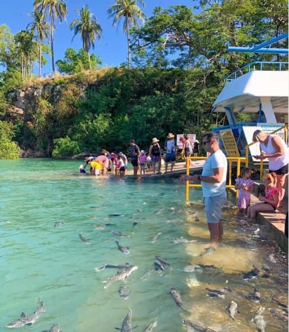 Darwin: Aquascene Fish Feeding Experience - FAQ
