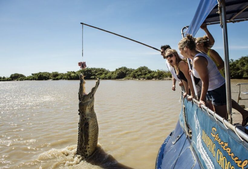 Darwin: City Sights and Jumping Crocodile Cruise - Practical Details: Transportation, Cost, and Comfort