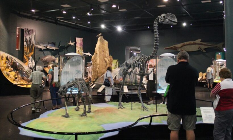 Darwin: City Sights and Jumping Crocodile Cruise - In-Depth Breakdown of the Itinerary