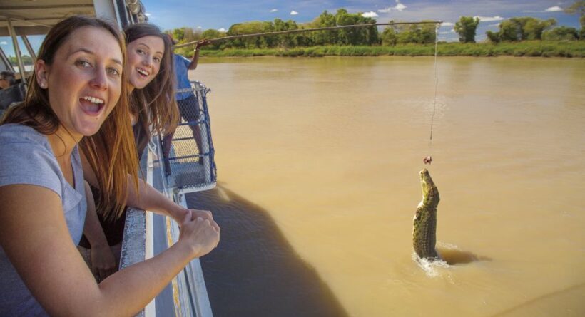 Darwin: City Sights and Jumping Crocodile Cruise - Final Thoughts: Is This Tour Worth It?