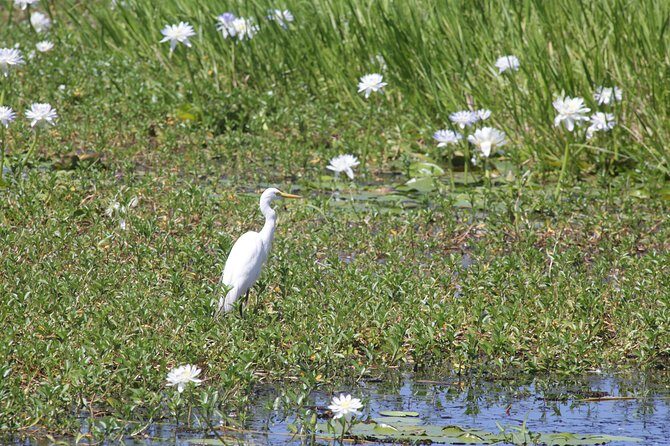 Darwin City Sights and Jumping Crocodile Cruise - The Sum Up