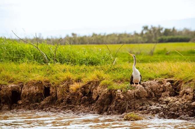 Darwin City Sights and Jumping Crocodile Cruise - FAQ